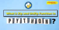 What is Zip and UnZip Function in Python? Zip Function Examples | NareshIT